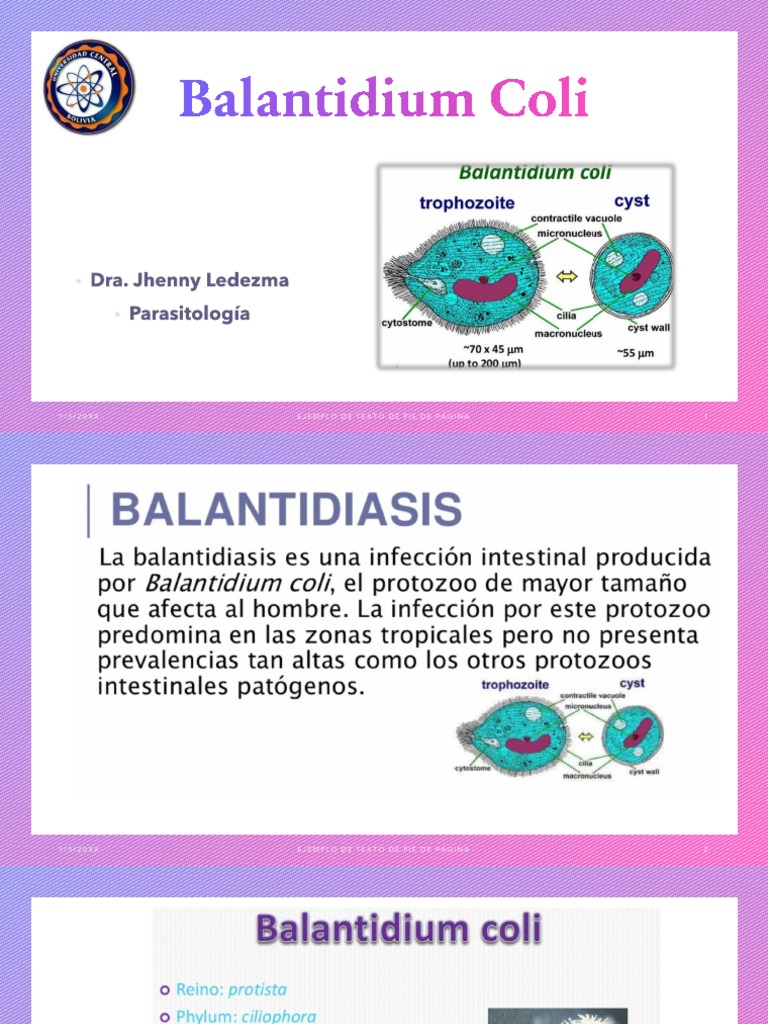 4 - Balantidium Coli | PDF