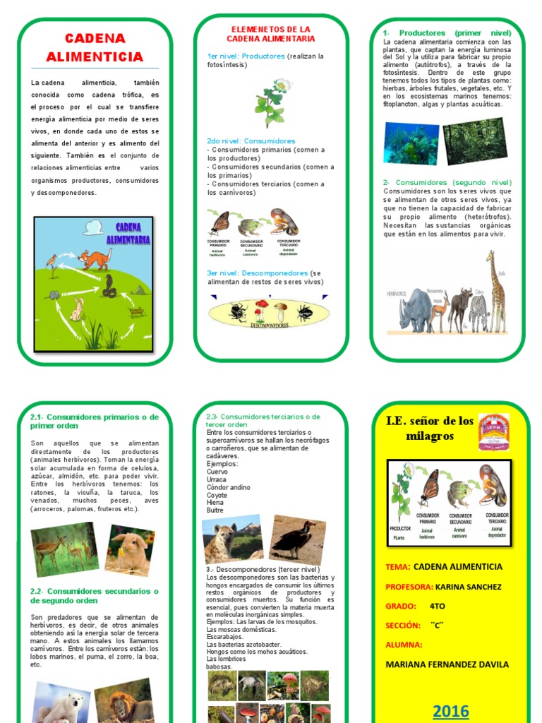 Cadena Alimenticia | PDF | Ecología de sistemas | Biologia de sistemas