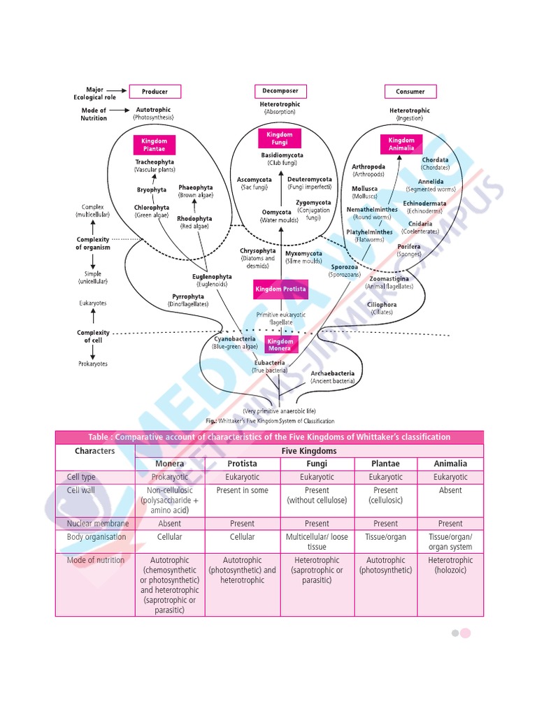 Medica Wing Mind Map for Biology Neet | PDF | Fruit | Frog