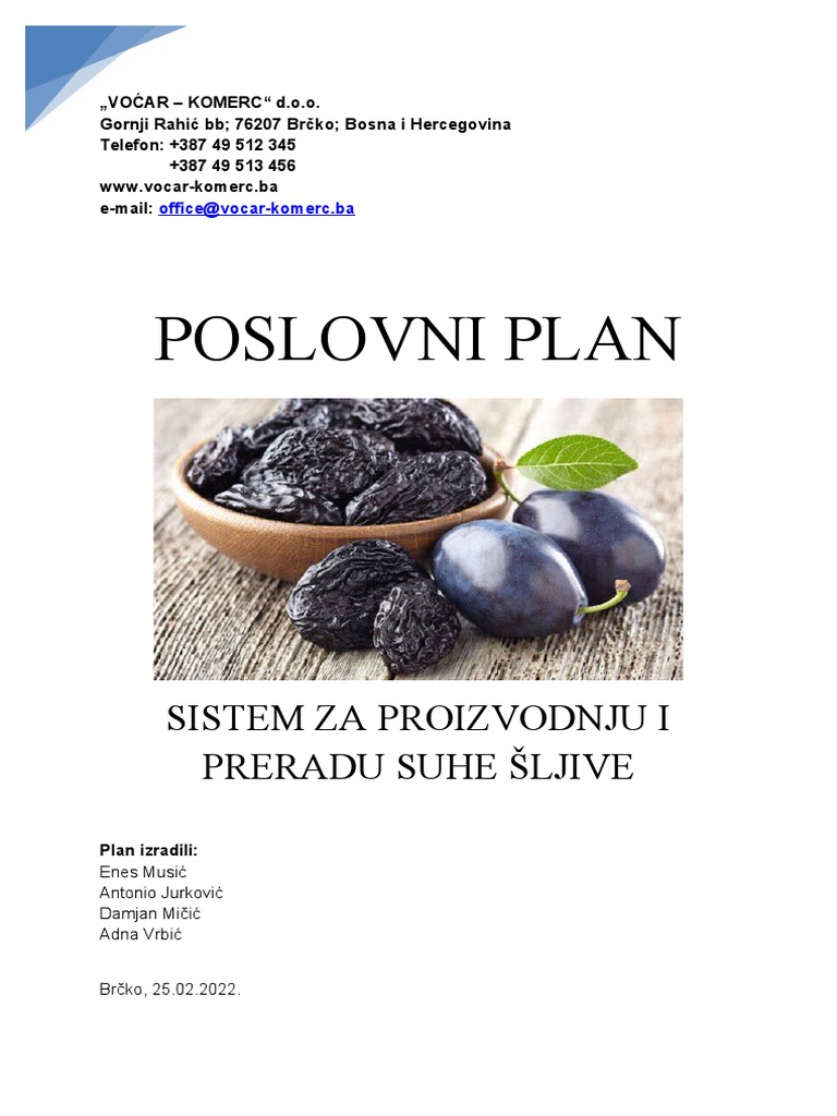 Poslovni Plan | PDF