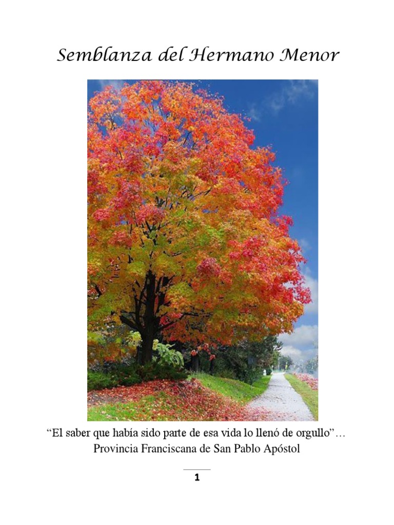 Libro Semblanza Del Hermano Menor 16 de Abril PDF | PDF | Papa ...