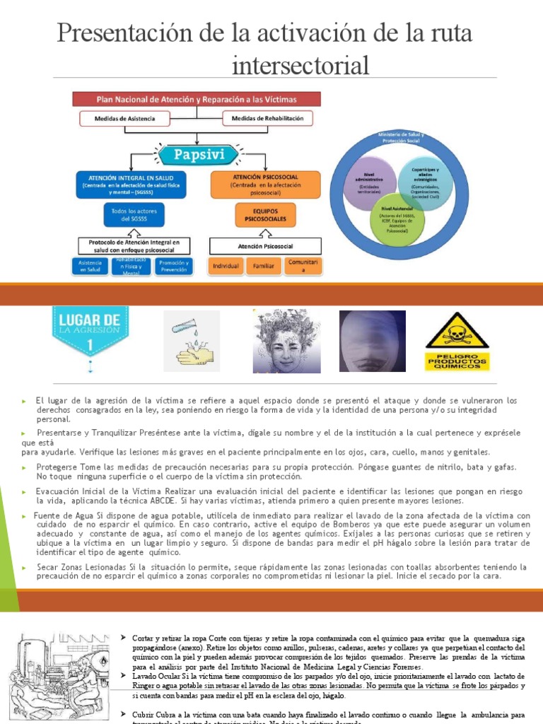 Presentación de La Activación de La Ruta Intersectorial | PDF | Quemar ...