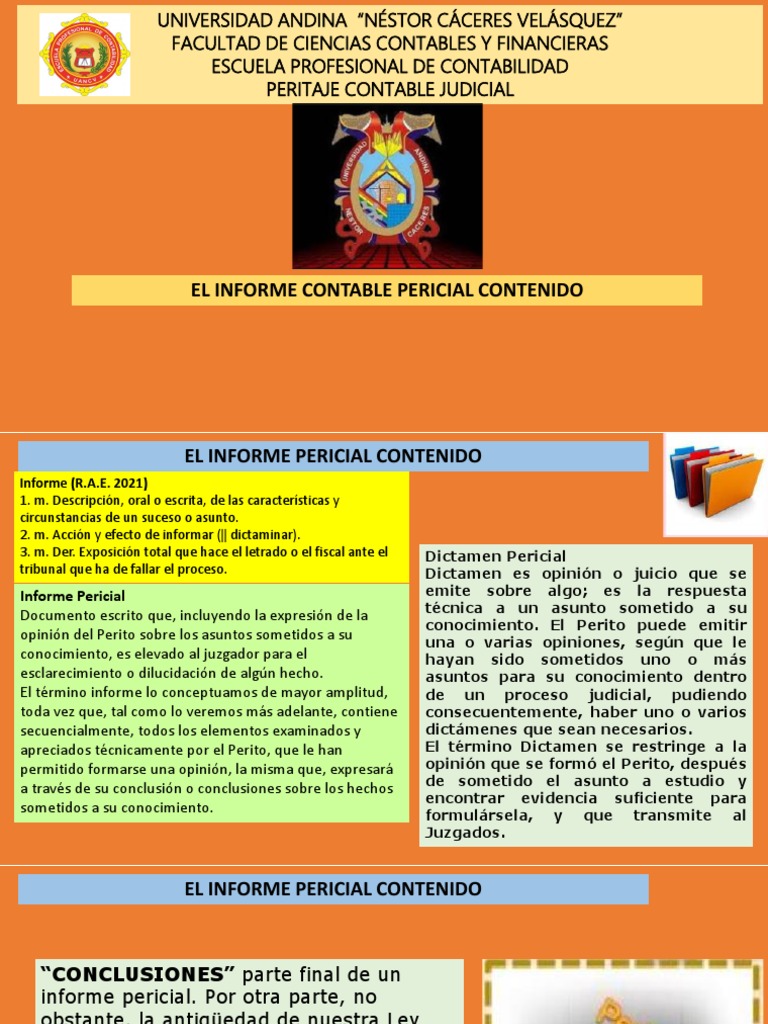14 Informe Pericial | PDF | Testigo experto | Conocimiento