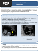 n29 O Trabalho de Parto Prematuro Uso Racional Da Tocolise | PDF ...