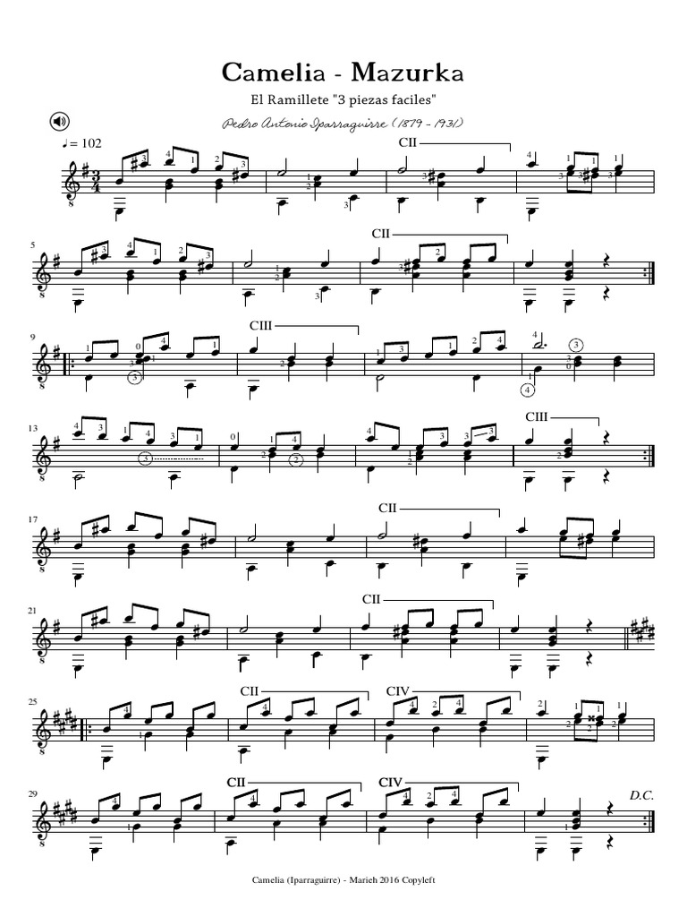 Iparraguirre Camelia | PDF