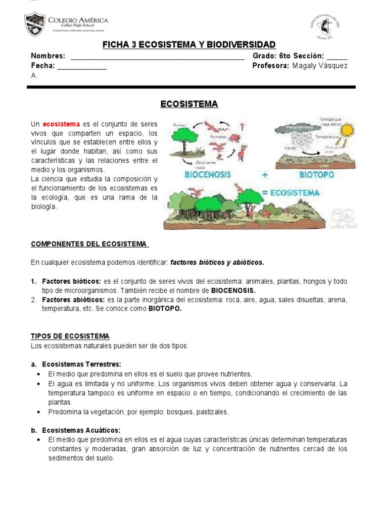 Ficha de Trabajo 3 Ecosistemas | PDF | Ecosistema | Deforestación
