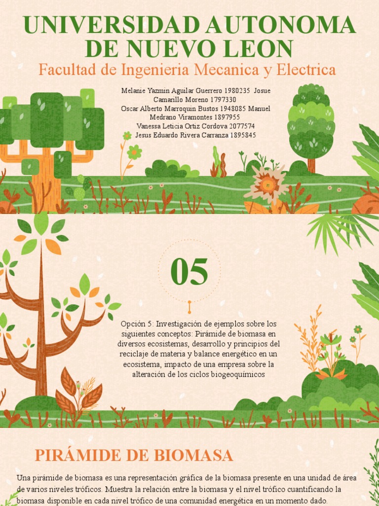Pirámide de Biomasa y Reciclaje en Ecosistemas | PDF | Biomasa ...