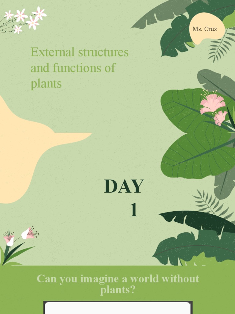 W7 - Internal Structures and Functions of Plants | PDF | Flowers | Fruit