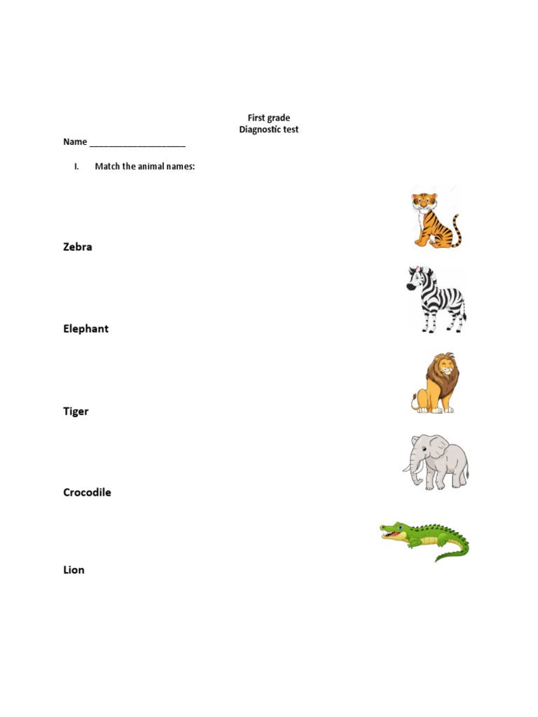 Diagnostic Test (1st Grade) | PDF