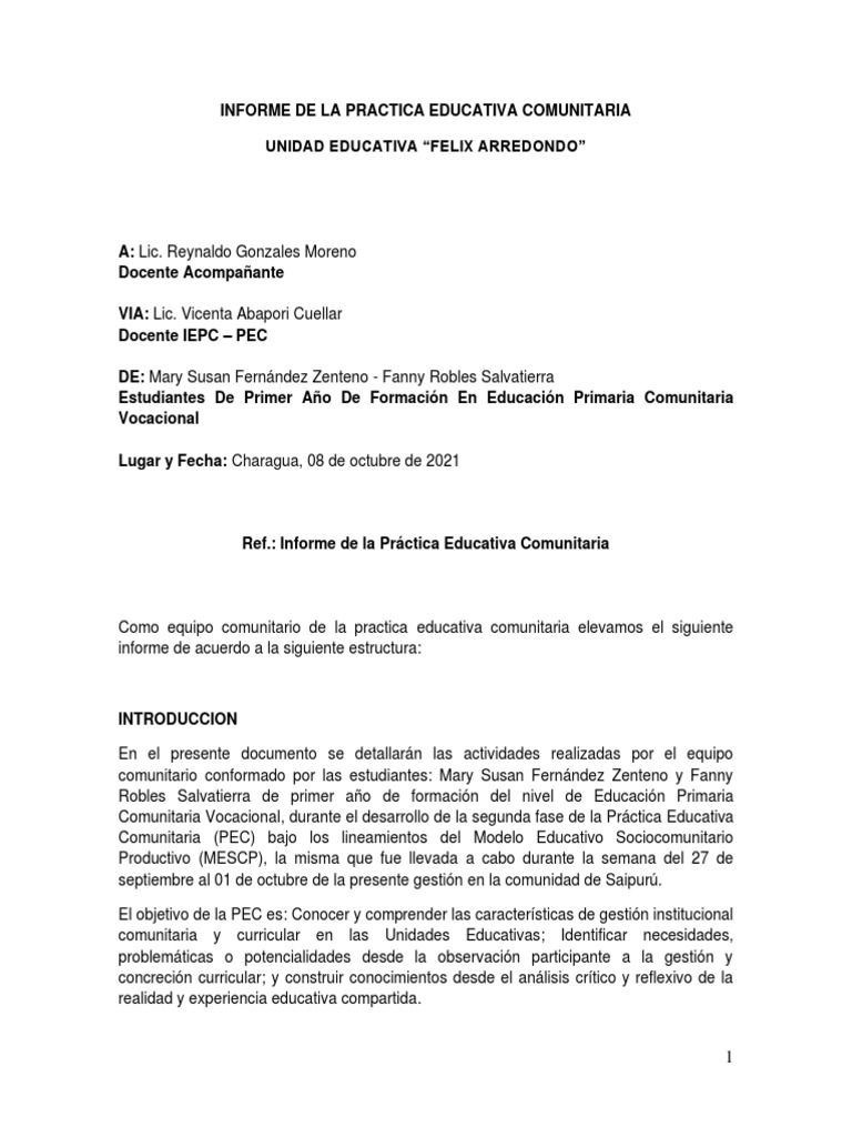INFORME DE LA IEPC - PEC 1er Año | PDF | Moodle | Plan de estudios