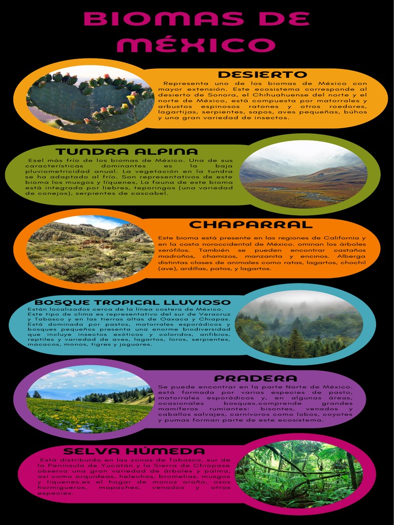 Biomas de México | PDF | Biogeografia | Ecología