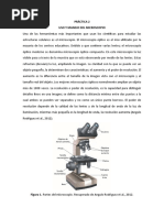 Exposición sobre Radioscopia Óptica | PDF