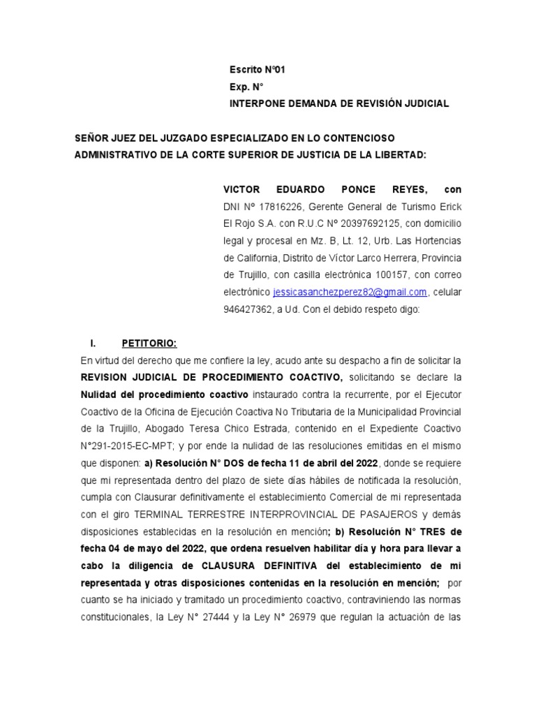 Erick El Rojo - PJ | PDF | Debido al proceso | Gobierno