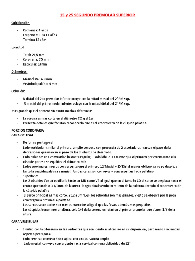 Anatomía y características del segundo premolar superior | PDF ...