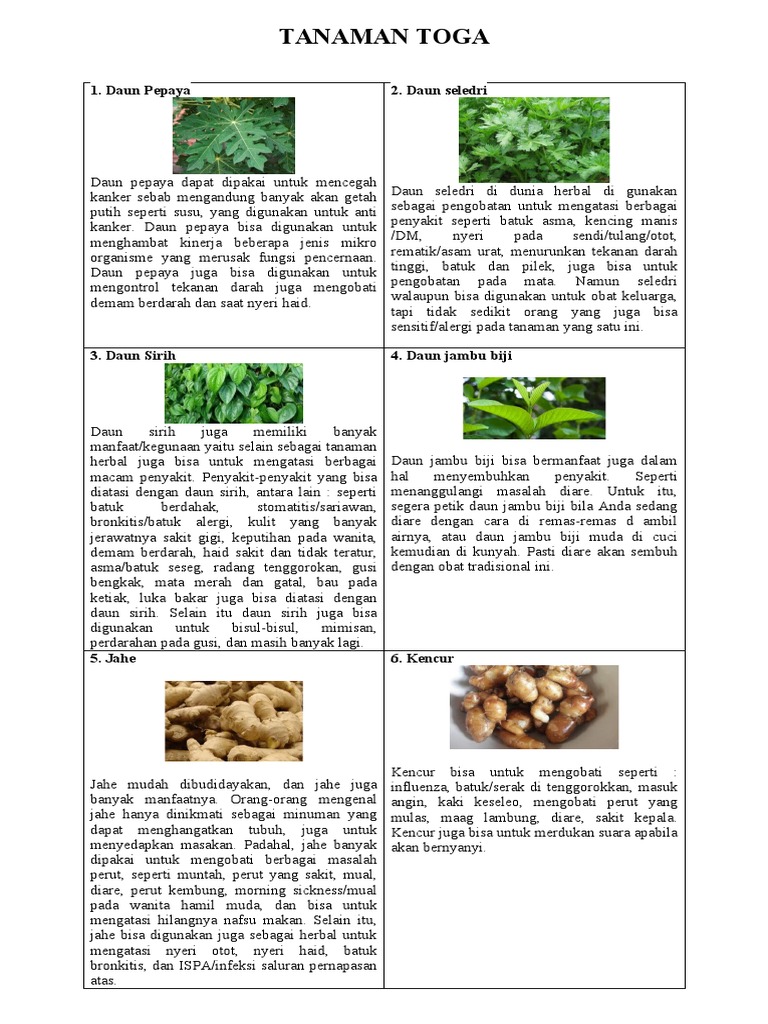 Jenis Tanaman Toga | PDF