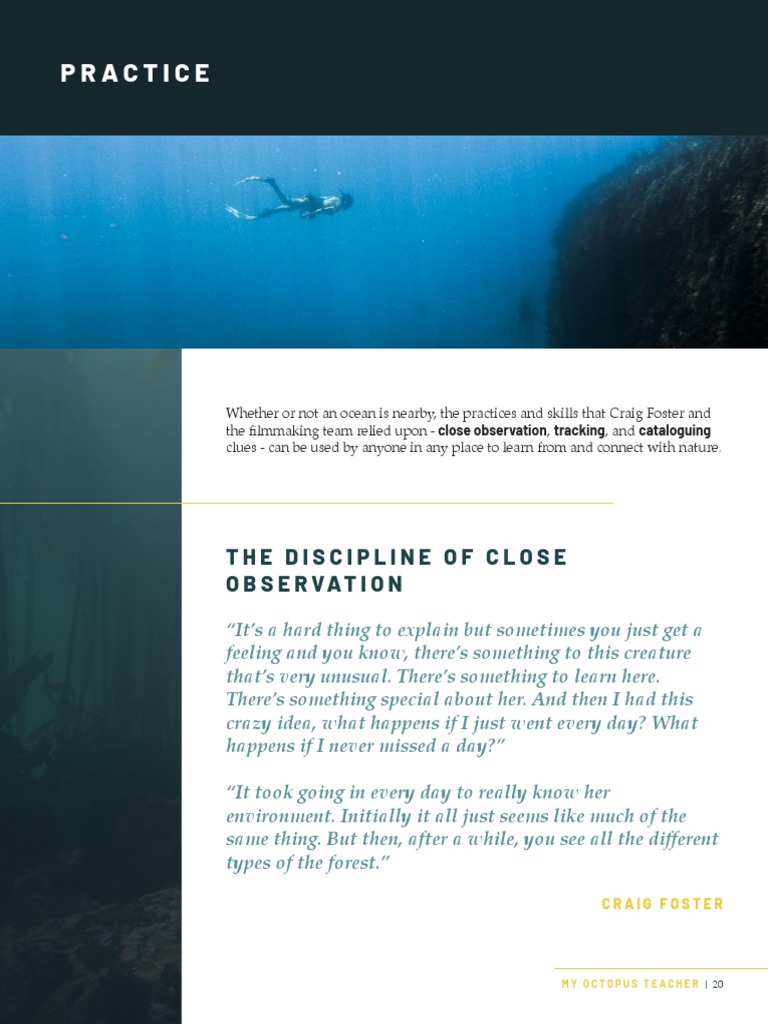 Tracking (My Octopus Teacher) | PDF | Mindfulness | Cognitive Science