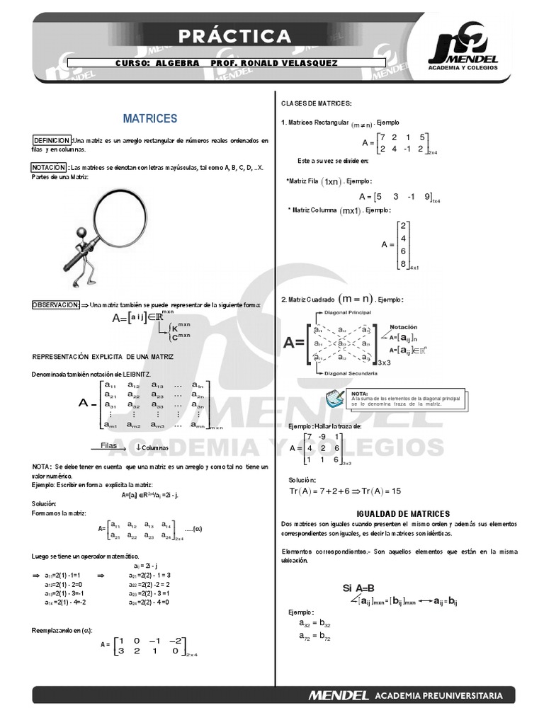 Matrices y Determinantes 2021 | PDF | Matriz (Matemáticas) | Determinante