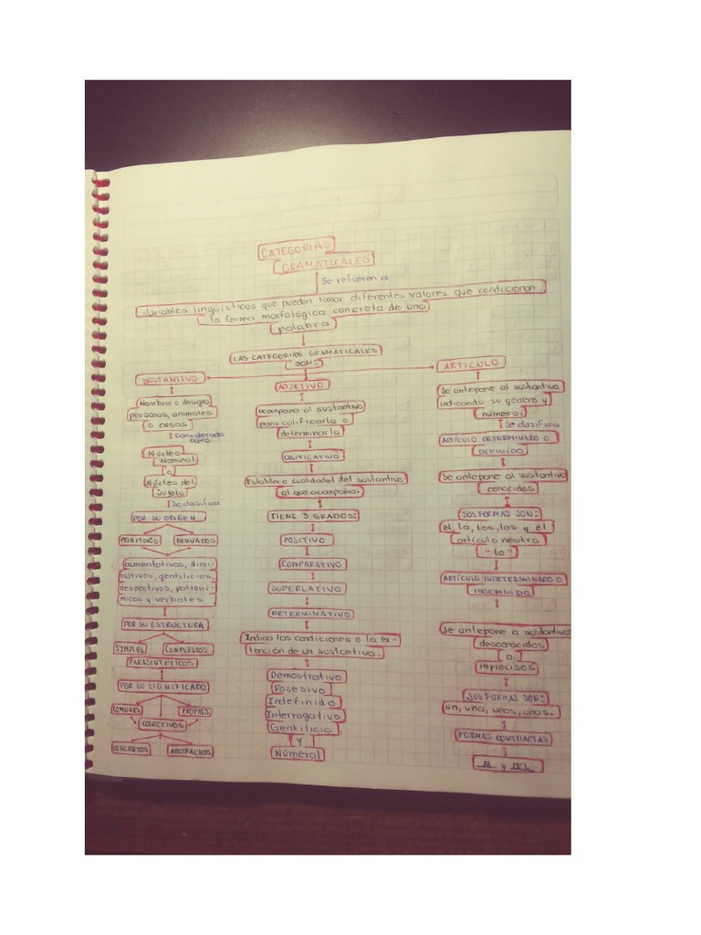 Producto MCCG - Franco Rodriguez Maria Guadalupe | PDF