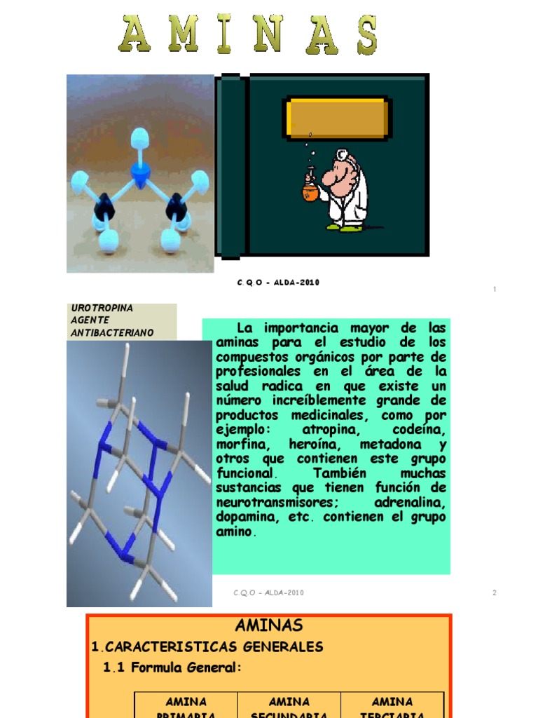 Aminas Nomenclatura | PDF | Amina | Química