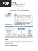 Manejo Seguro de Soda Cáustica | PDF | Agua | Residuos
