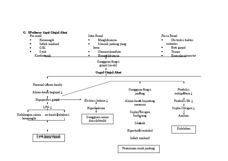 Pathway Gagal Ginjal Akut | PDF