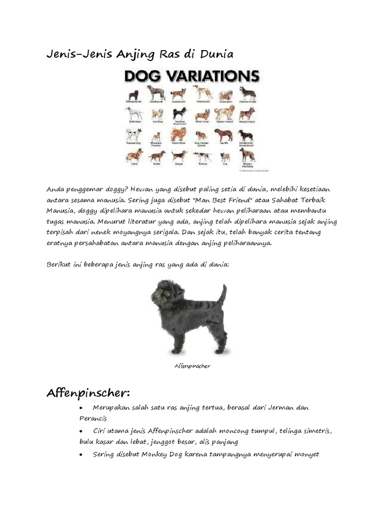 Jenis-Jenis Anjing Ras Didunia | PDF