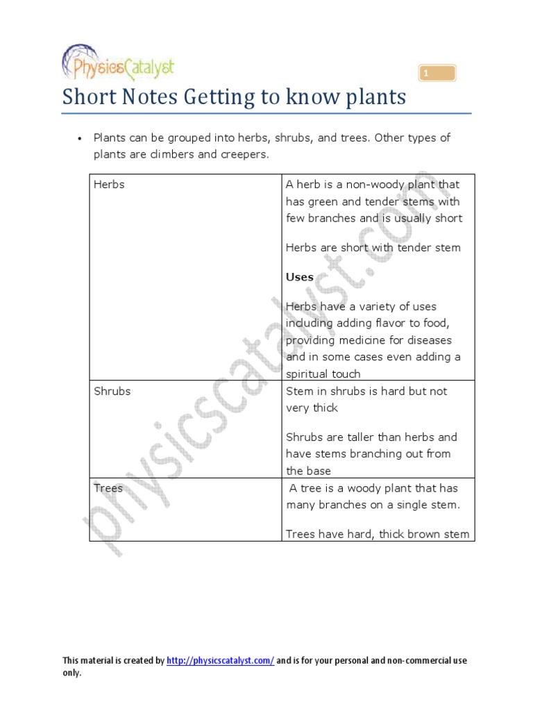 Class 6 Plant Structure and Types | PDF | Leaf | Flowers