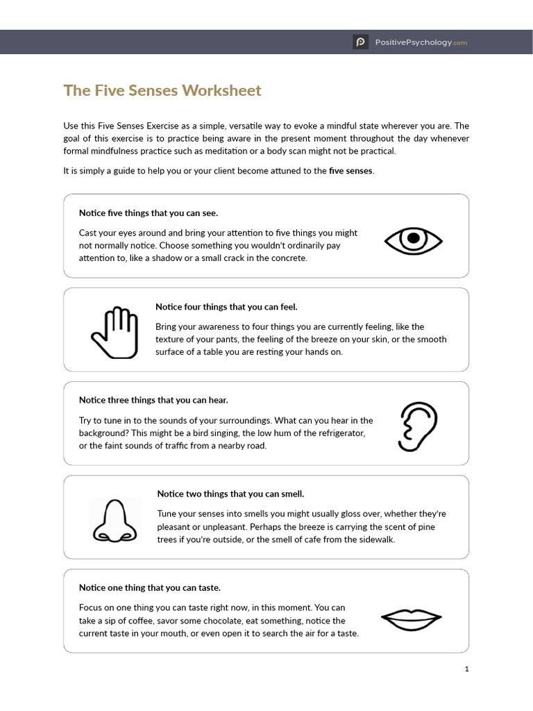 The Five Senses Worksheet | PDF