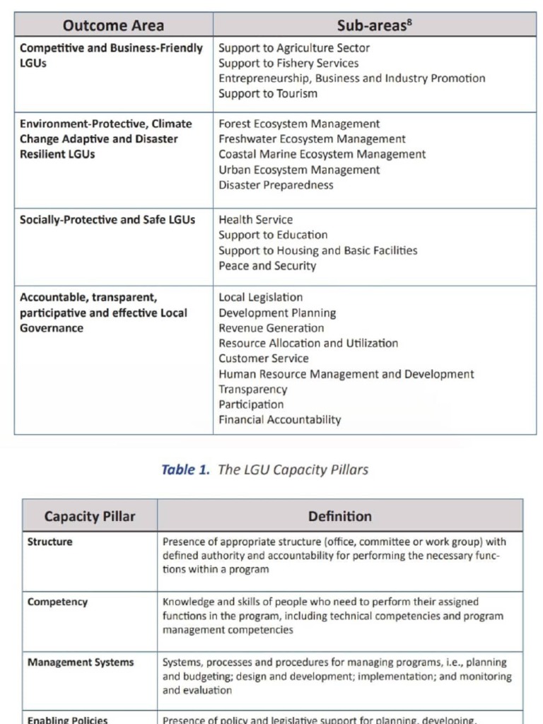 CAPDEV Formulation Guide | PDF