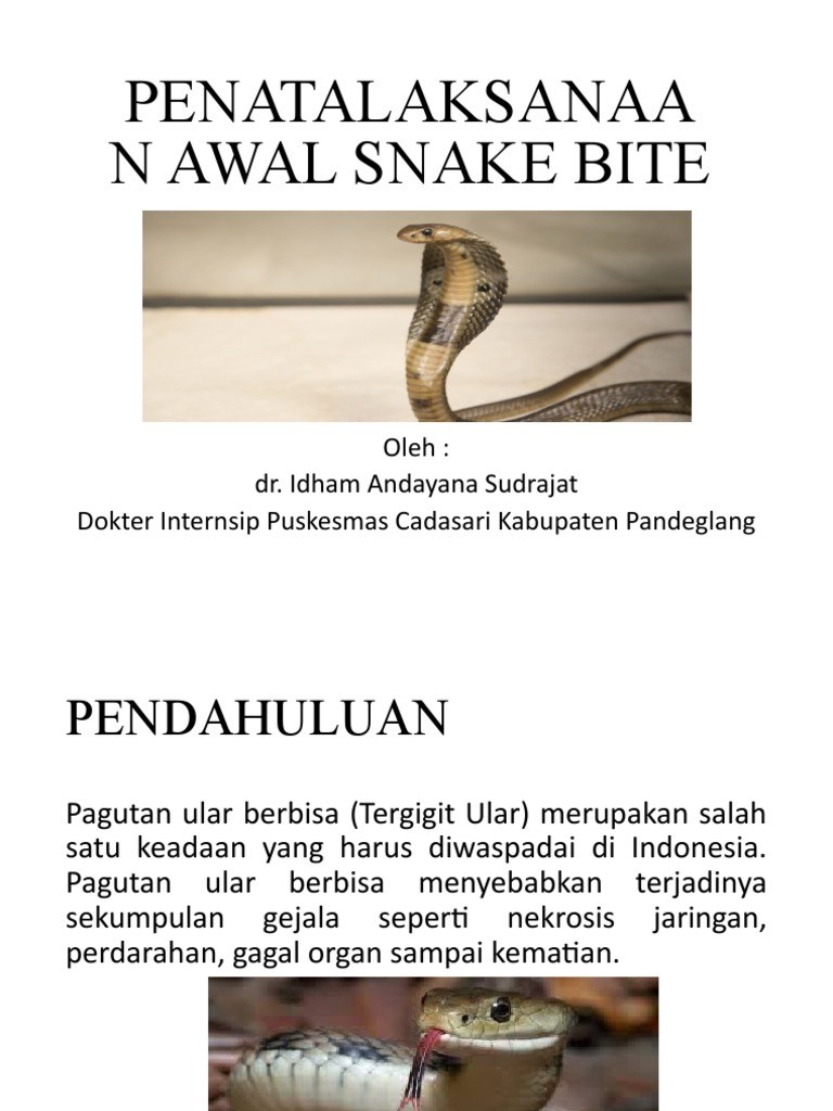 Penatalaksanaan Awal Snake Bite | PDF