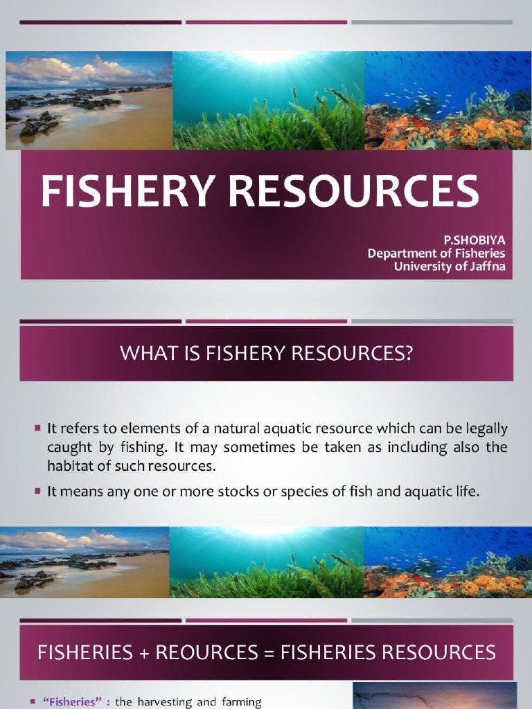 Fishery Resources | PDF