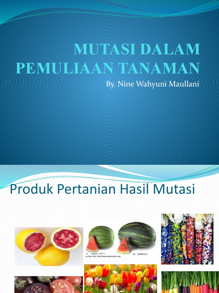 Teknik Mutasi Dalam Pemuliaan Tanaman | PDF