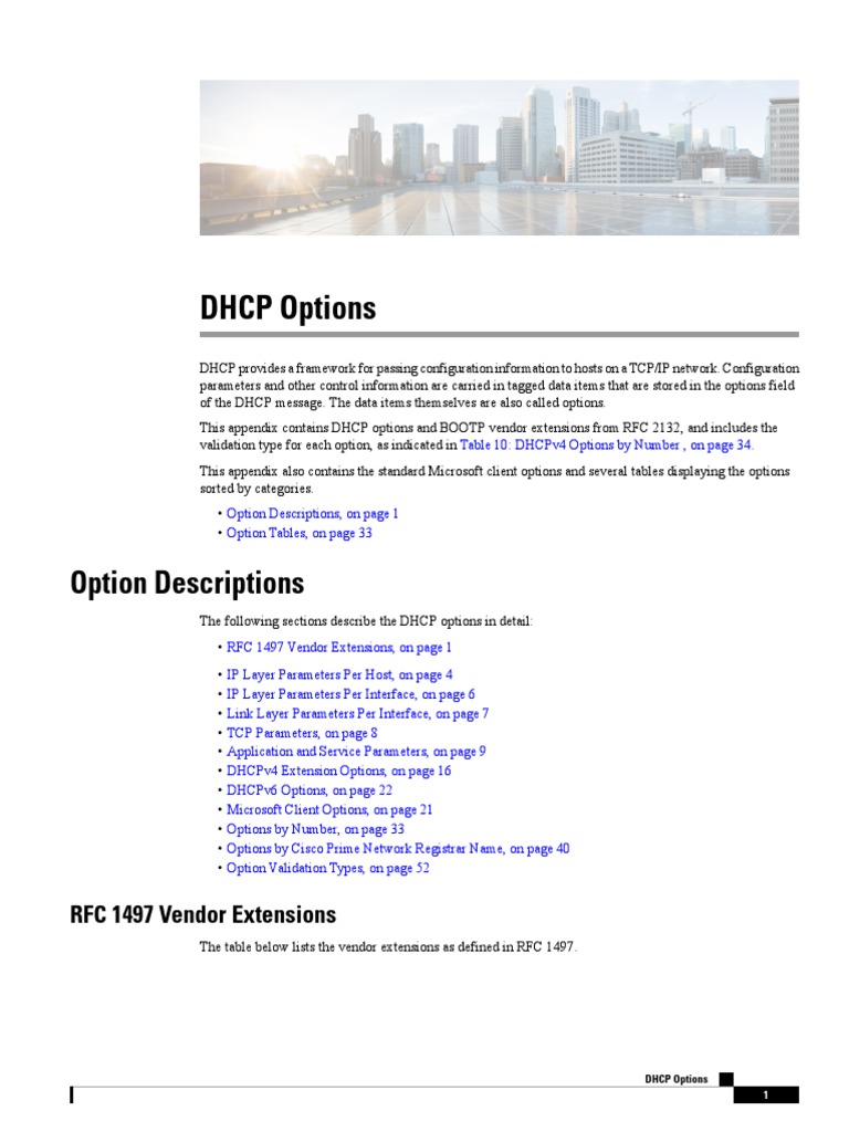 DHCP Guide Appendix 01101 | PDF | Transmission Control Protocol | Telecommunications Standards
