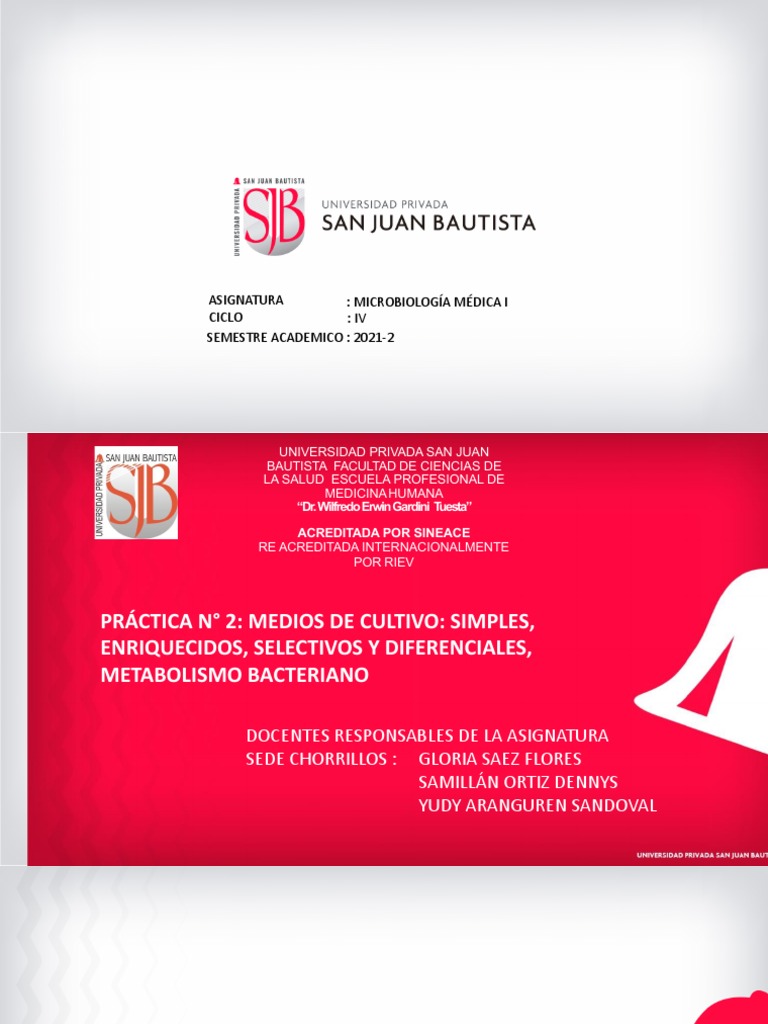 II Practica Micro. 2021-2.-Ok | Descargar gratis PDF | Las bacterias | Escherichia coli