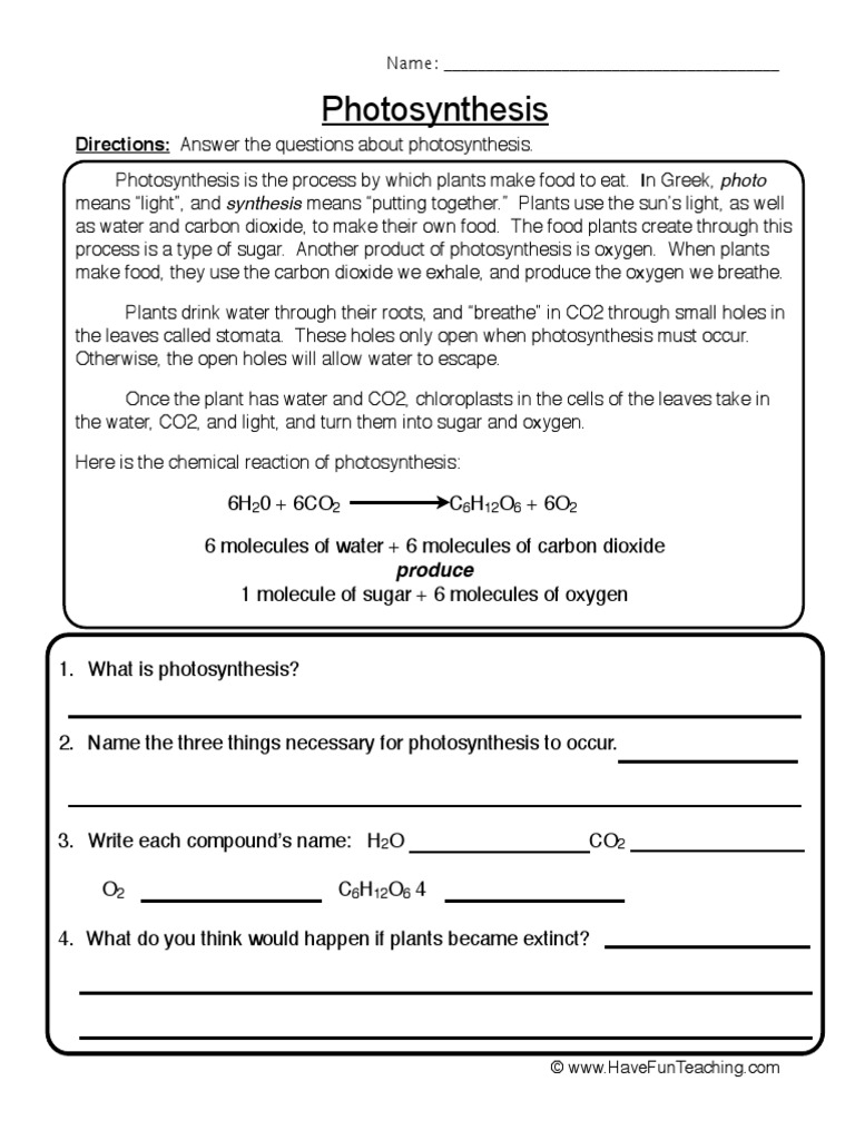 Photosyntheis Worksheet 7th Grade | PDF | Science & Mathematics
