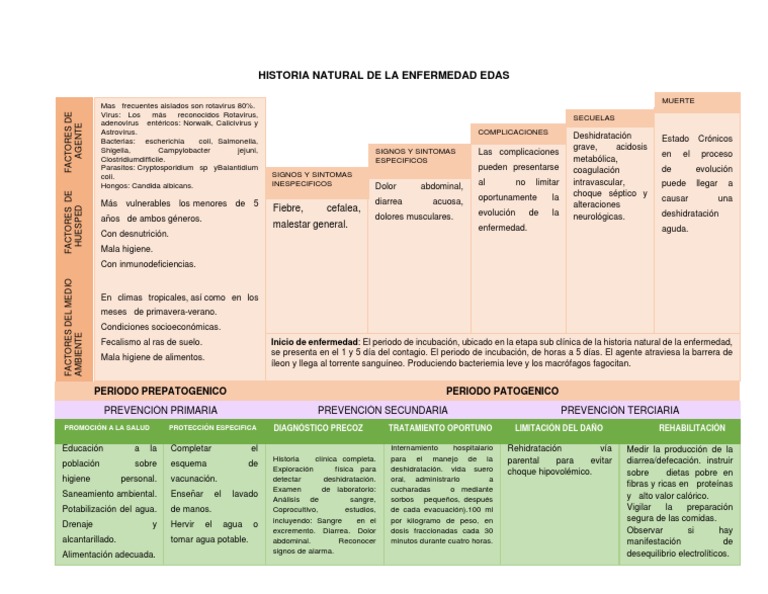 Hne Edas | PDF | Diarrea | Microbiología