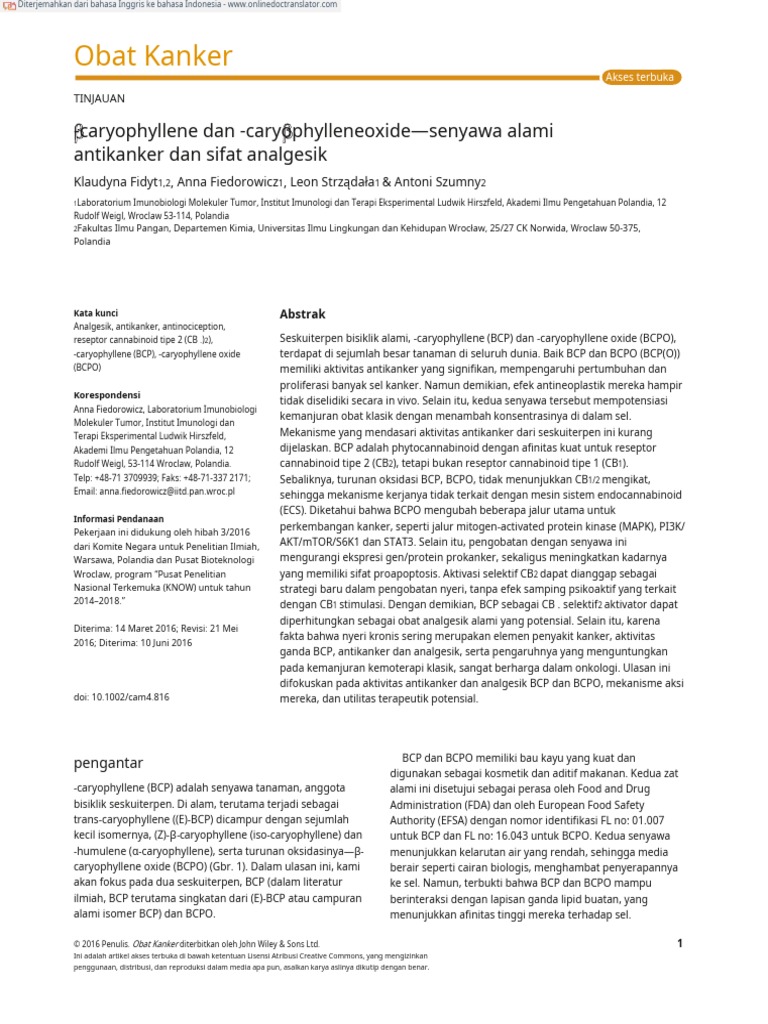 Cam4 816 en Id | PDF