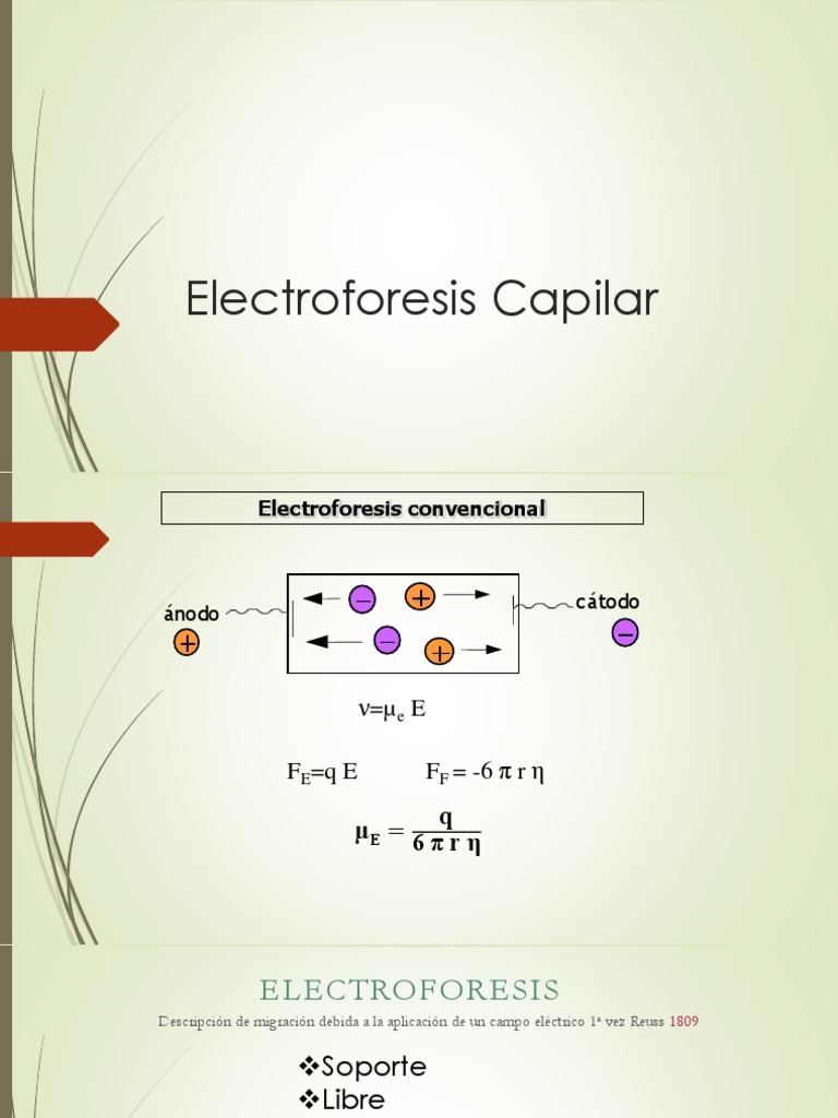 Electroforesis Capilar - Clase | PDF | Electroforesis | Electroforesis capilar