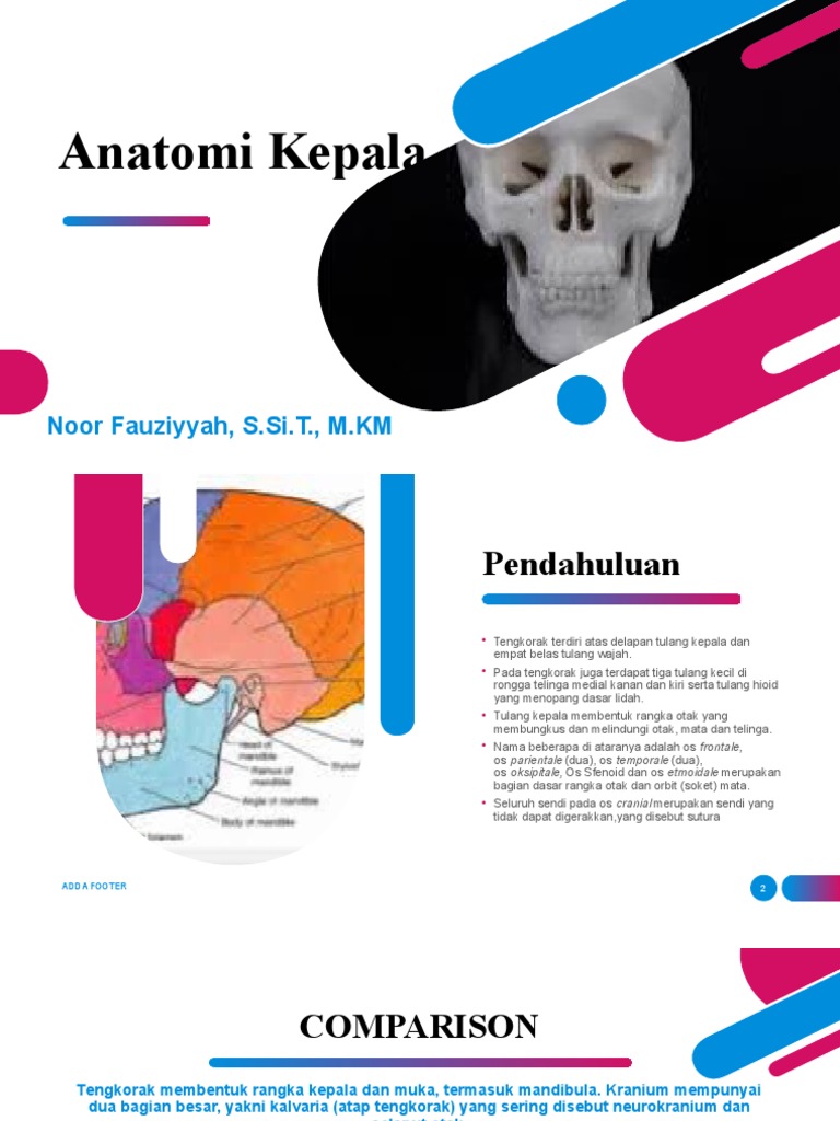 Anatomi Kepala | PDF