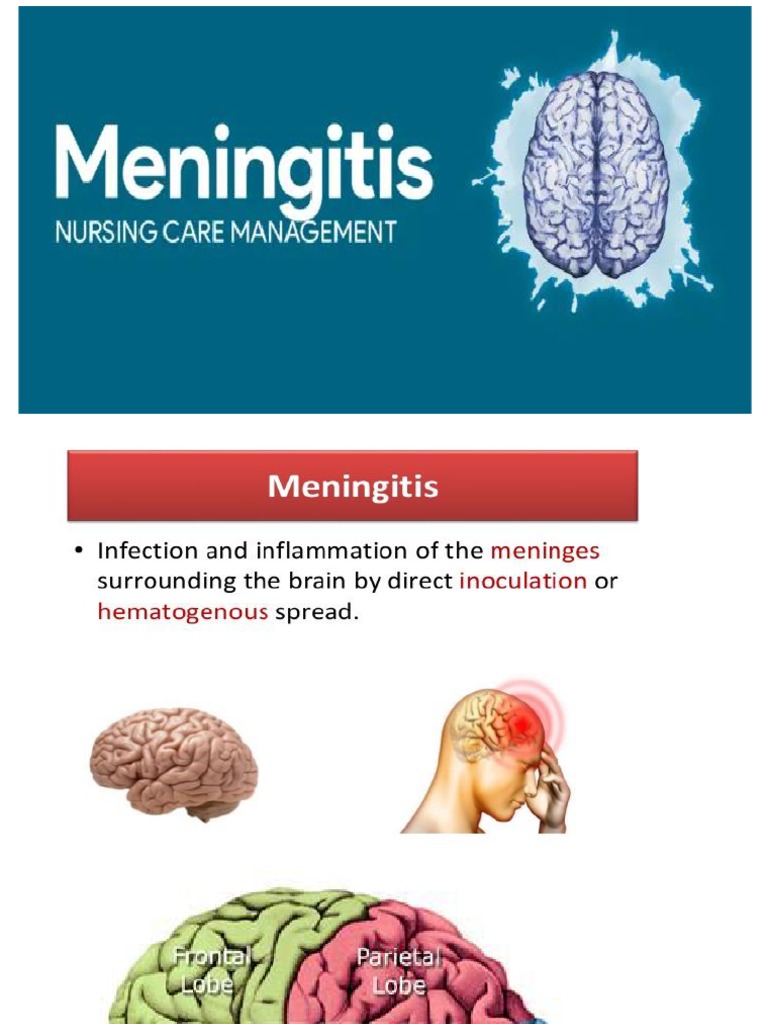 Meningitis | PDF | Meningitis | Clinical Medicine