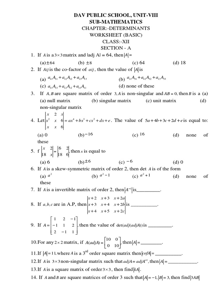 Determinant Ws1 Pdf Matrix Mathematics Determinant