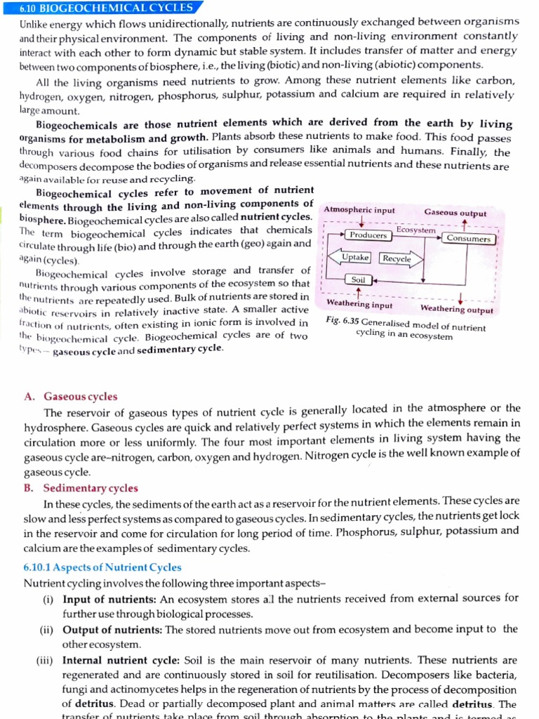 Biogeochemical Cycles | PDF | Soil | Carbon Dioxide