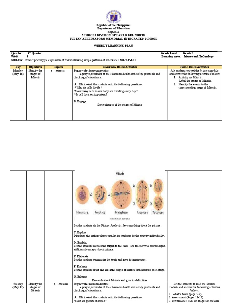 WLP Science8 Q4 Wk3 | PDF | Meiosis | Mitosis