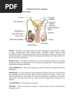 2025 03 13 Lim LFSC GR12 Pre Test MG | PDF | Nucleotides | Biology