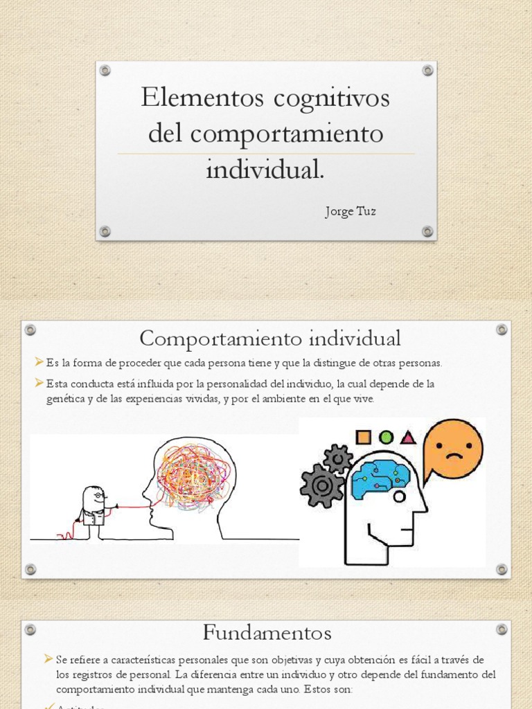 Elementos Cognitivos Del Comportamiento Individual Jorge Tuz | PDF | Comportamiento | Percepción