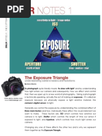 Datasheet DM290 01-2025 | PDF | Barcode | Shutter (Photography)