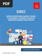 Instructivo SIREC | PDF | Servidor (Computación) | Informática
