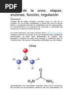 La Síntesis de La UREA | PDF | Urea | Sustancias químicas