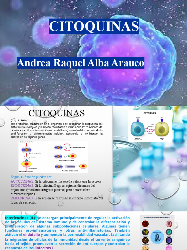 CITOQUINAS | PDF | Citocina | Sistema inmune