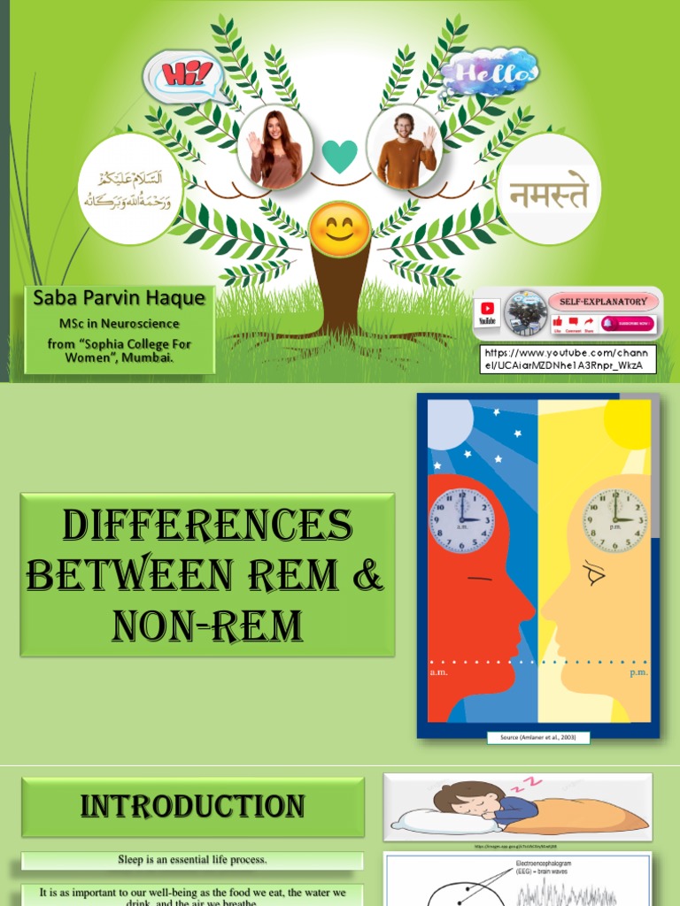 Differences Between REM & NON-REM Sleep | PDF | Sleep | Rapid Eye ...